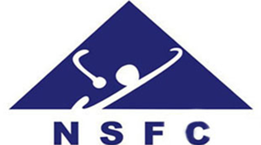 历年国家自然科学基金项目结题报告之“离子辐照诱导横向各向异性提高软磁合金高频磁性及交流磁化机理研究” - 国家自然科学基金委员会非晶软磁集团 ...